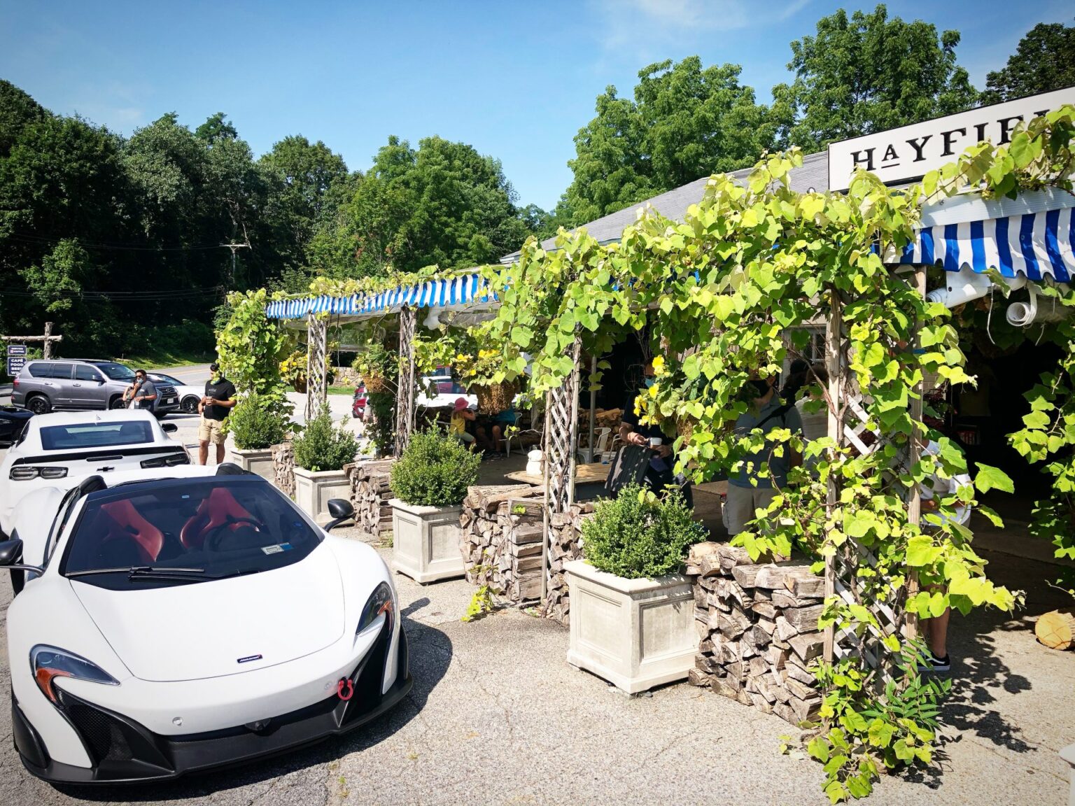 What We Are – Hayfields Market